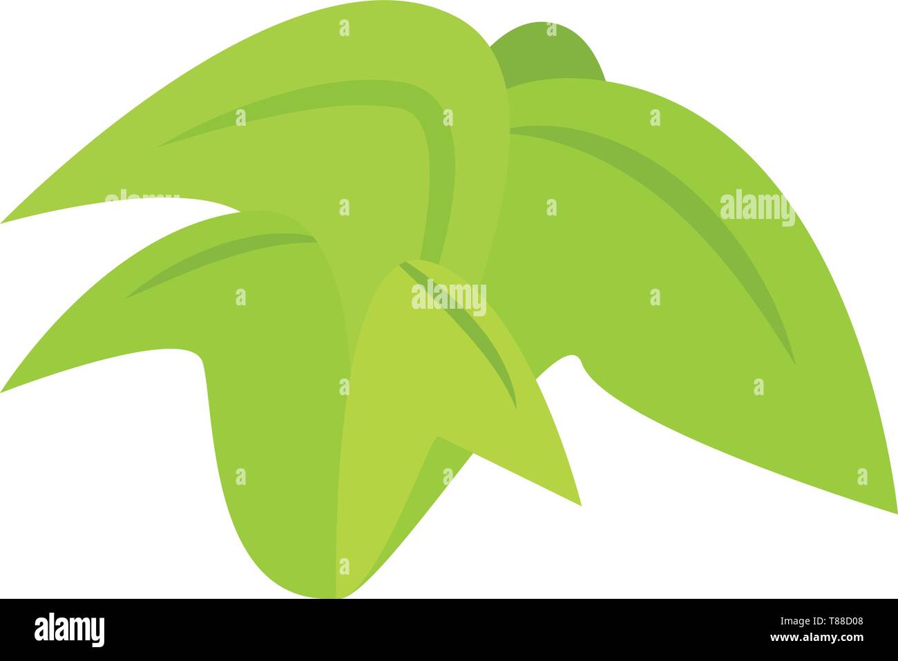 Palm tree leaf icon, isometric style Stock Vector Image & Art - Alamy Palm tree leaf icon, isometric style Stock Vector Image & Art - Alamy