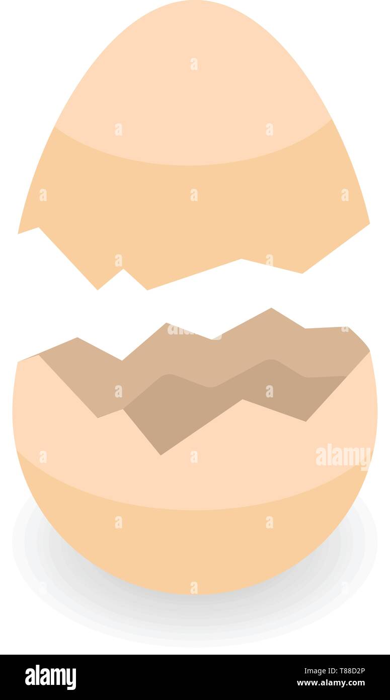 Two parts eggshell icon, isometric style Stock Vector Image & Art - Alamy