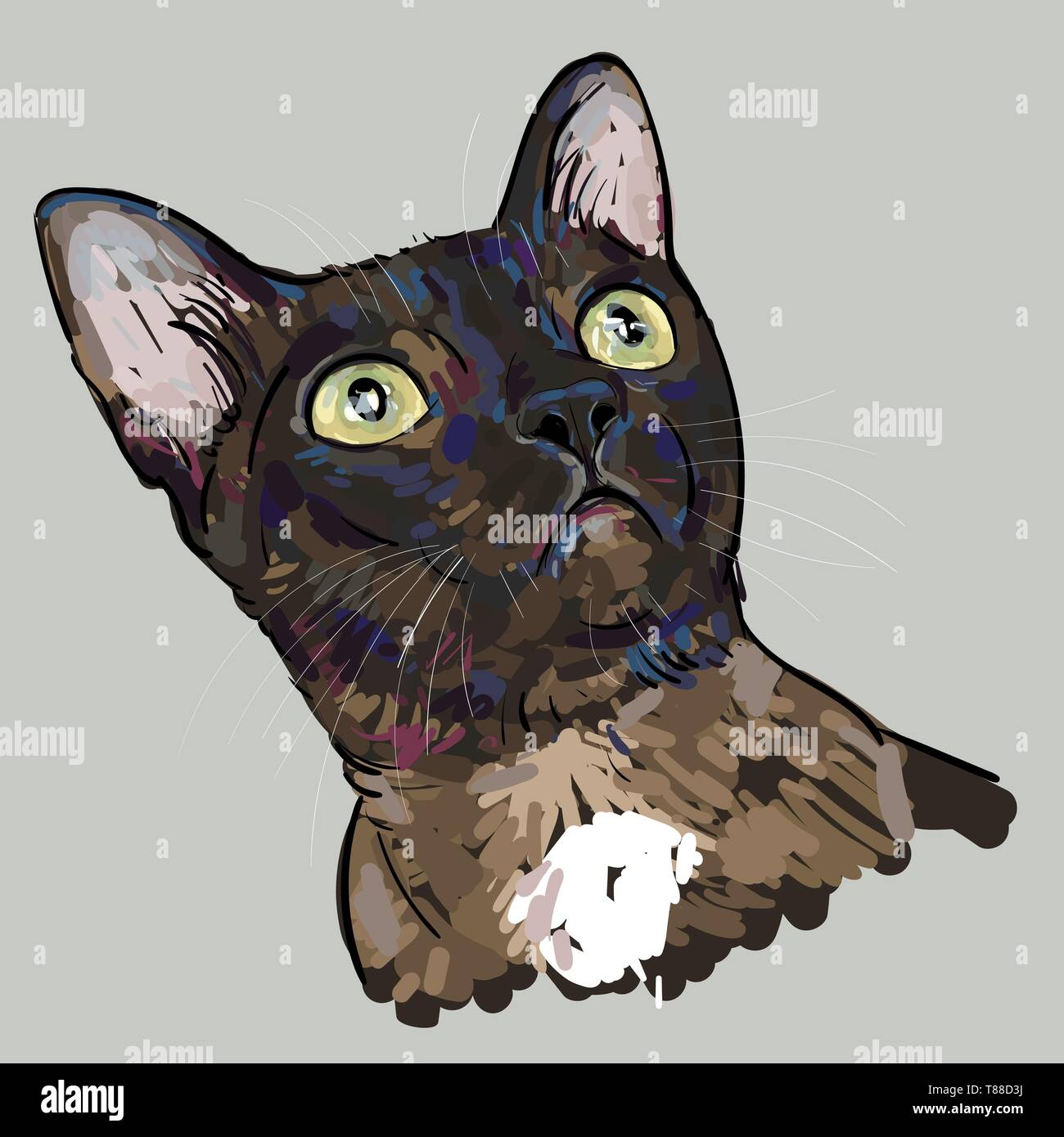 Drawing portrait of cat is staring up isolated on white background ...