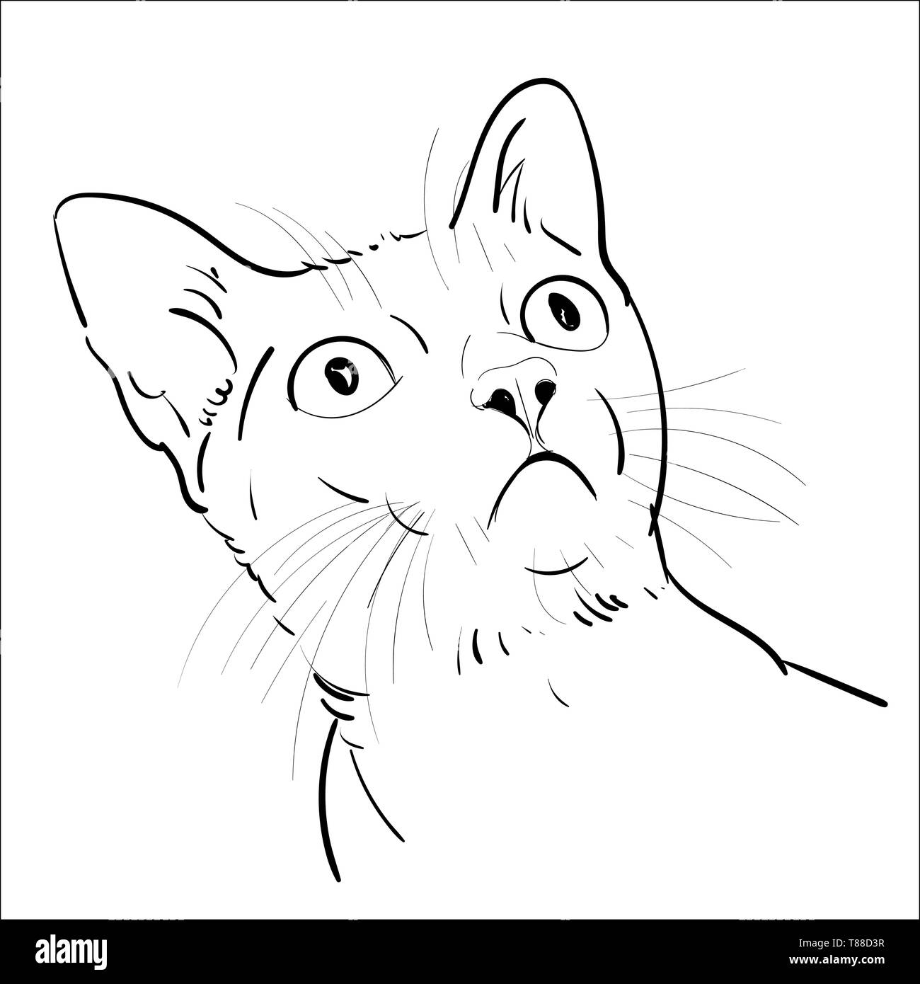 Drawing portrait of cat is staring up isolated on white background ...