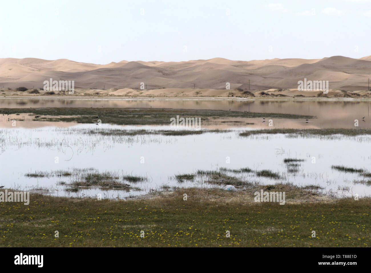 Scenery at Tengger Desert, Inner Mongolia, China Stock Photo - Alamy