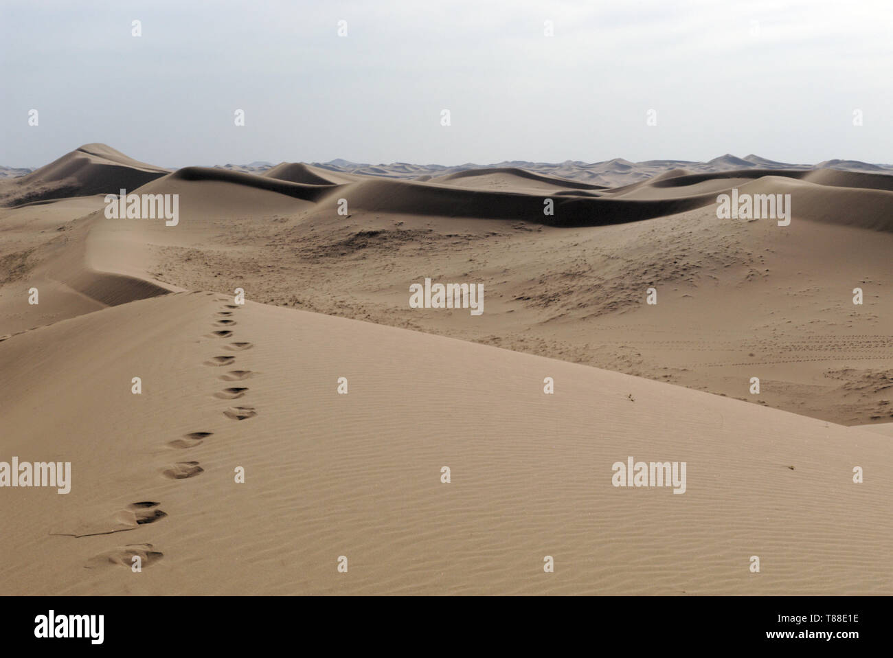 Scenery at Tengger Desert, Inner Mongolia, China Stock Photo - Alamy