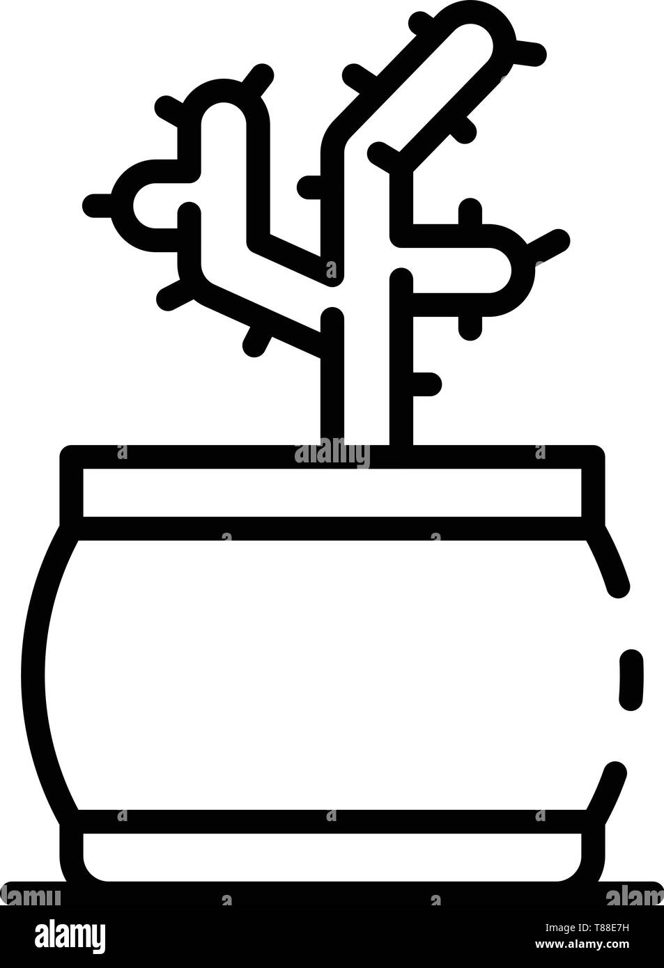 Barrel cactus plant Black and White Stock Photos & Images - Alamy