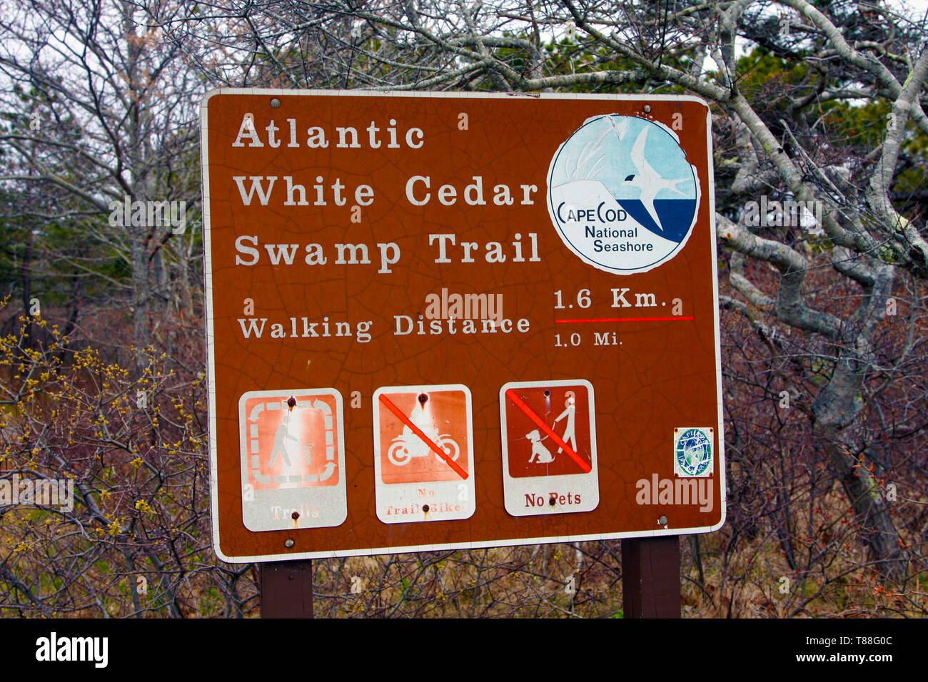 USA, Massachusetts, Cape Cod, New England, Wellfleet, Marconi Station ...