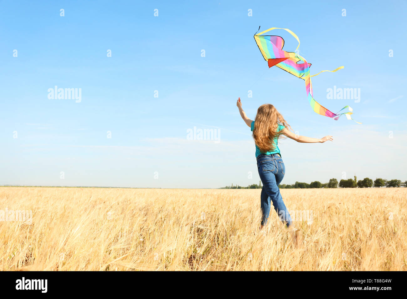 Flying a kite in wheat field hi-res stock photography and images - Alamy
