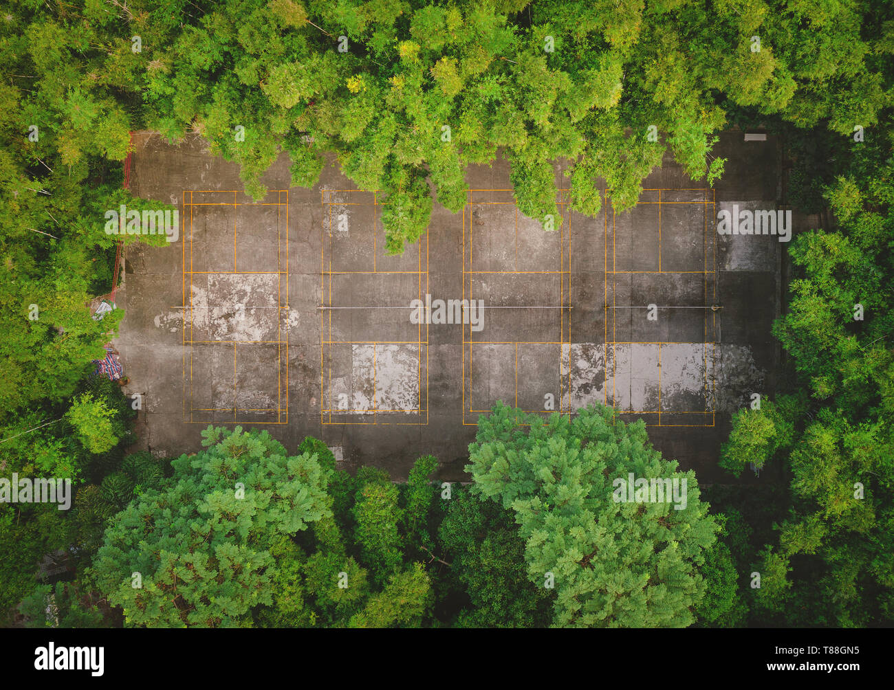 badminton court in the forest Stock Photo - Alamy