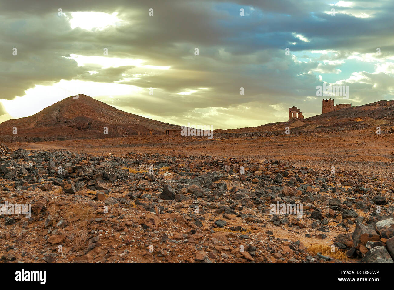 Hamada hi-res stock photography and images - Alamy