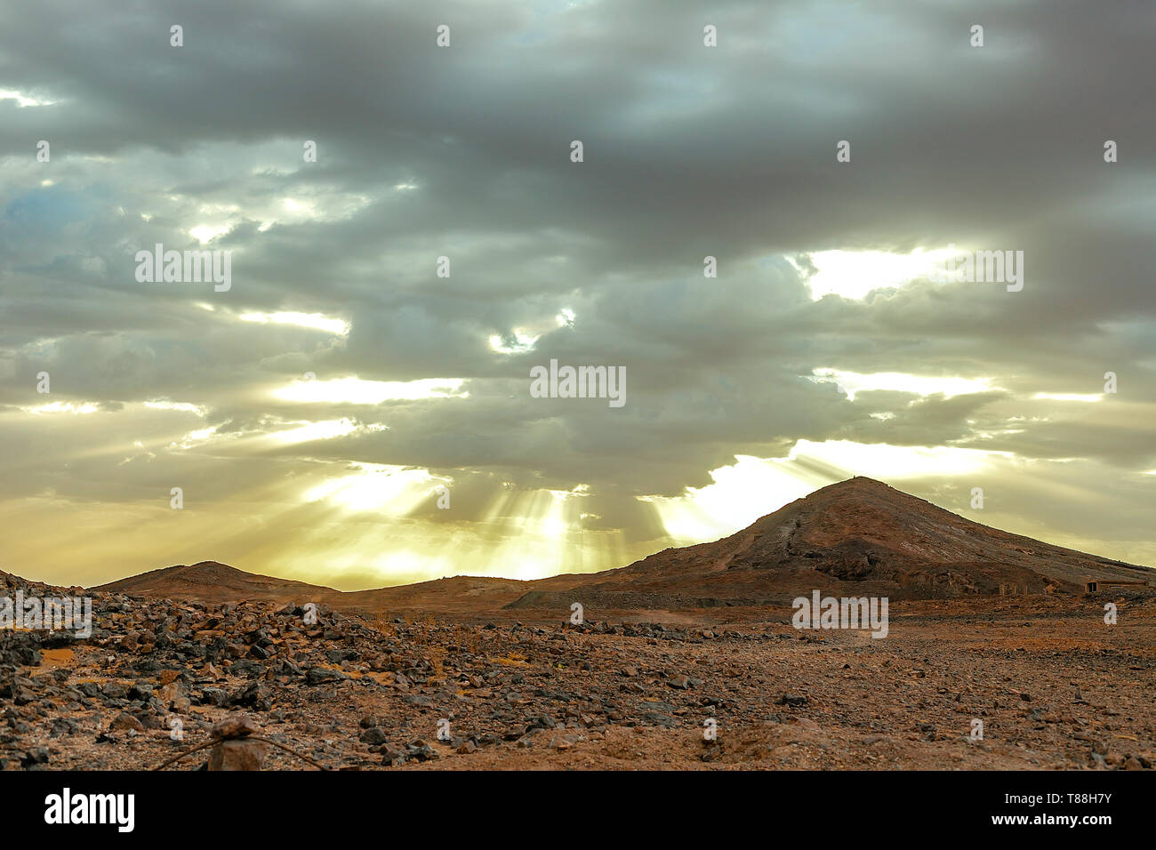 Hamada hi-res stock photography and images - Alamy