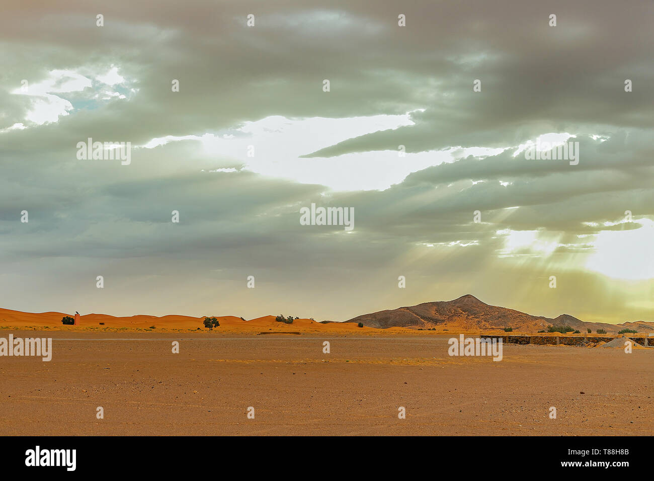 Hamada hi-res stock photography and images - Alamy