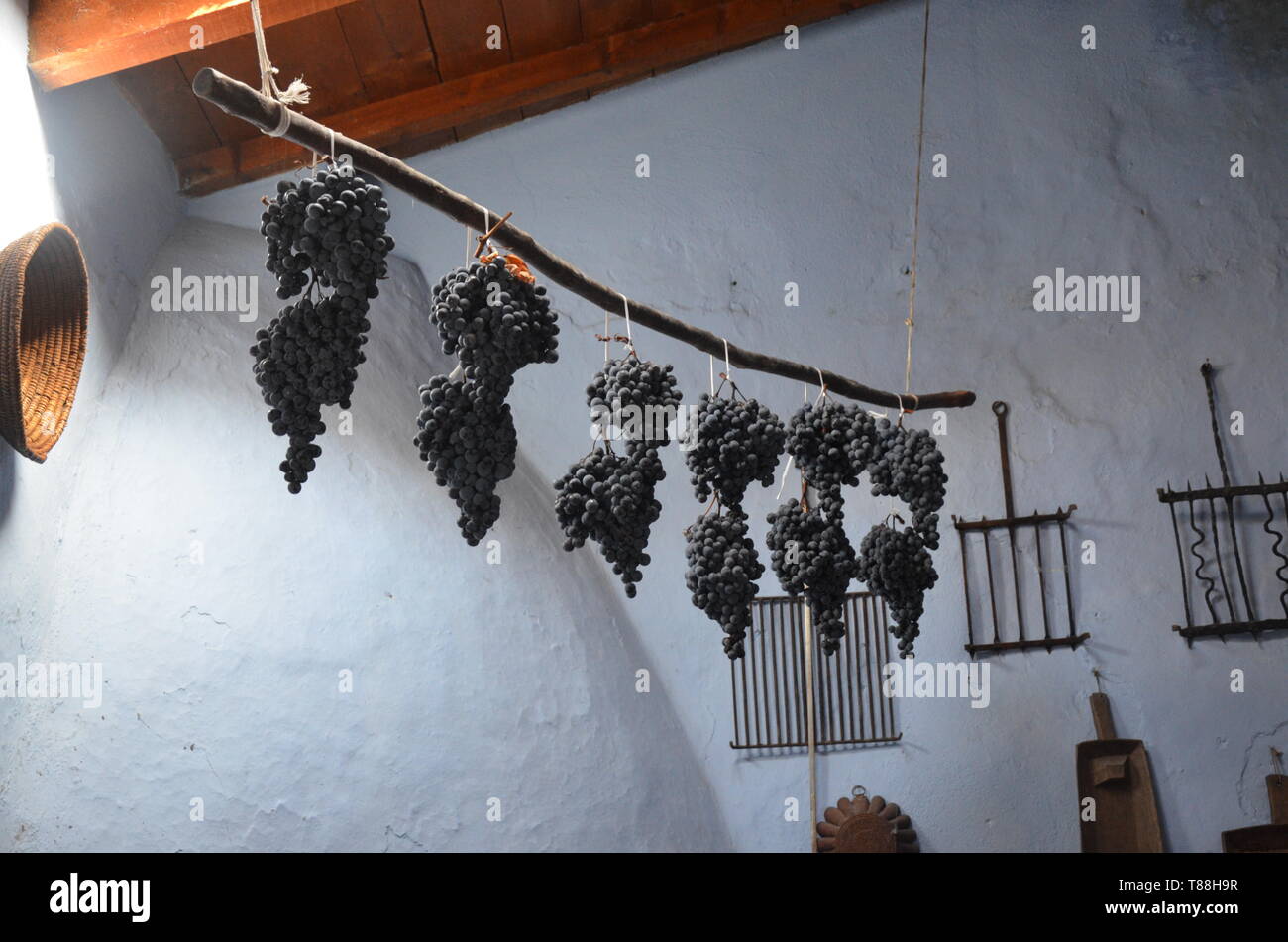 Cluster of fresh grapes isolated Stock Photo - Alamy