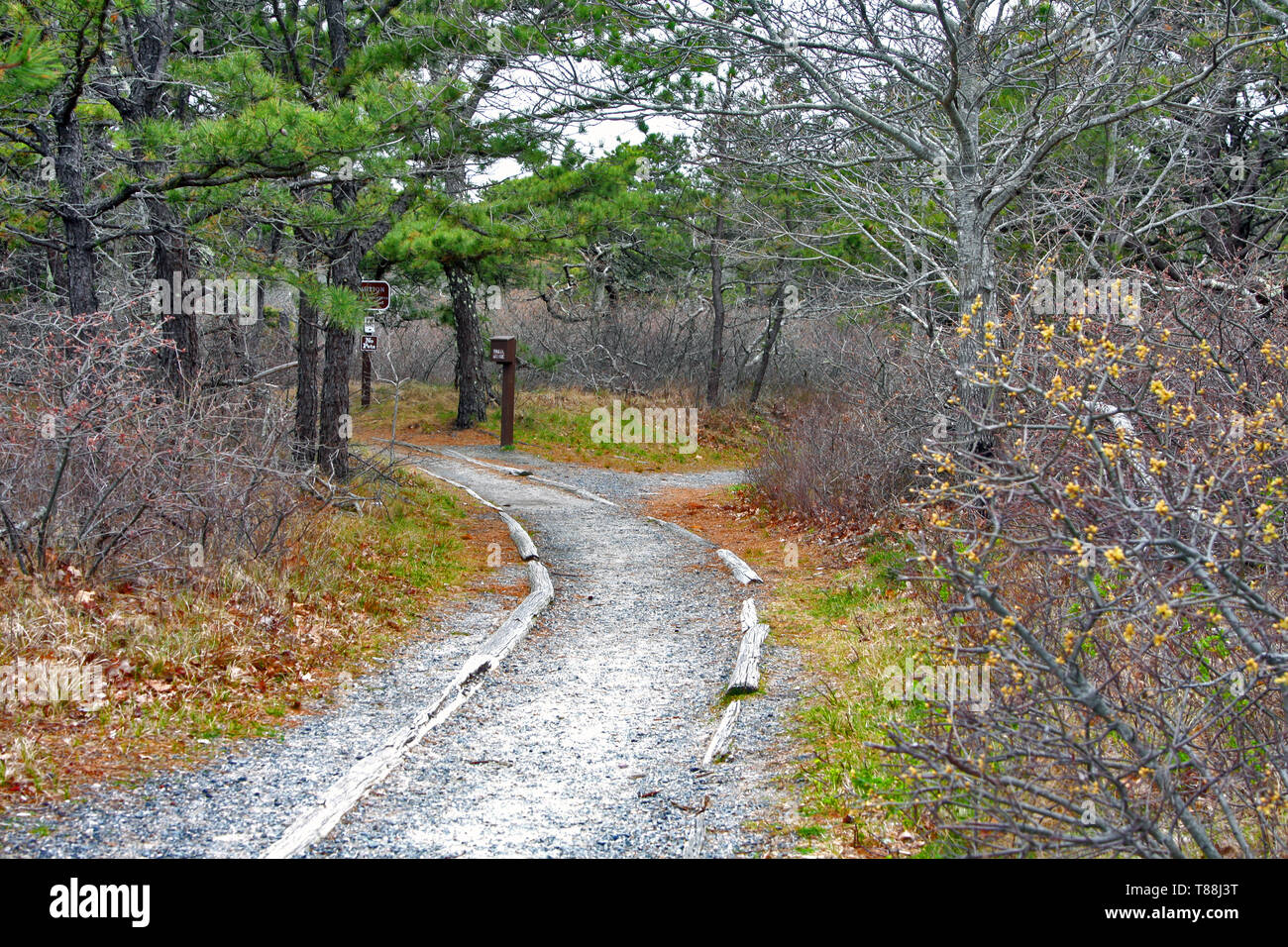 USA, Massachusetts, Cape Cod, New England, Wellfleet, Marconi Station ...