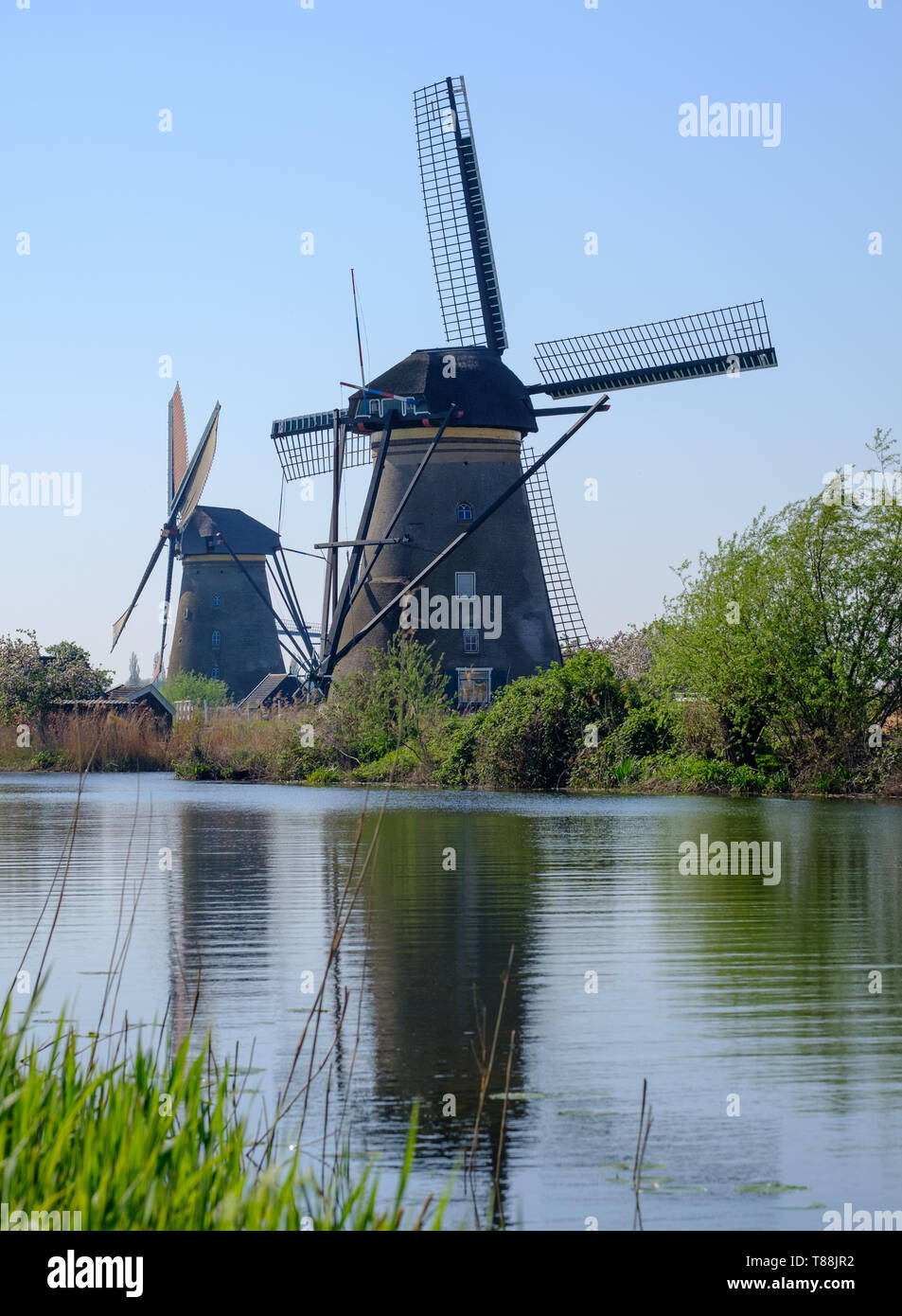 Row of iconic historic windmills, by the water at Kinderdijk, Holland ...