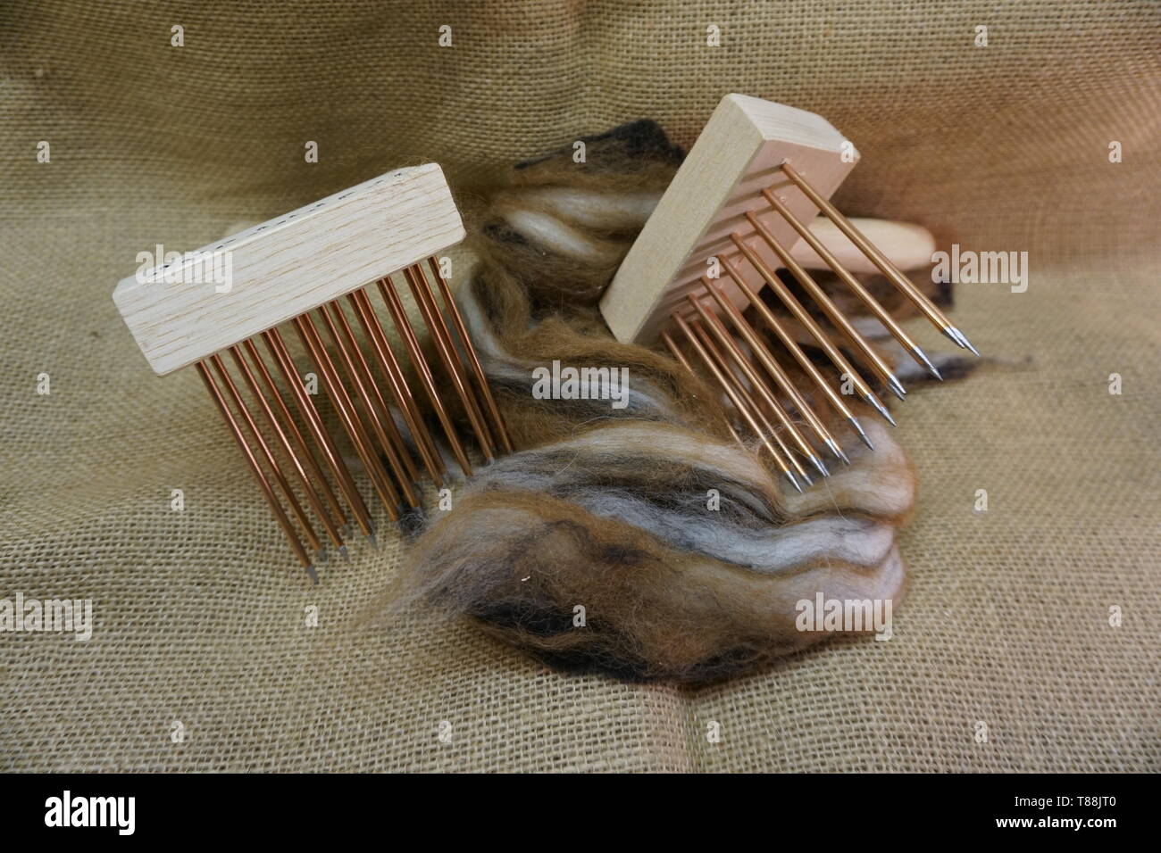 Roman copper comb hi-res stock photography and images - Alamy