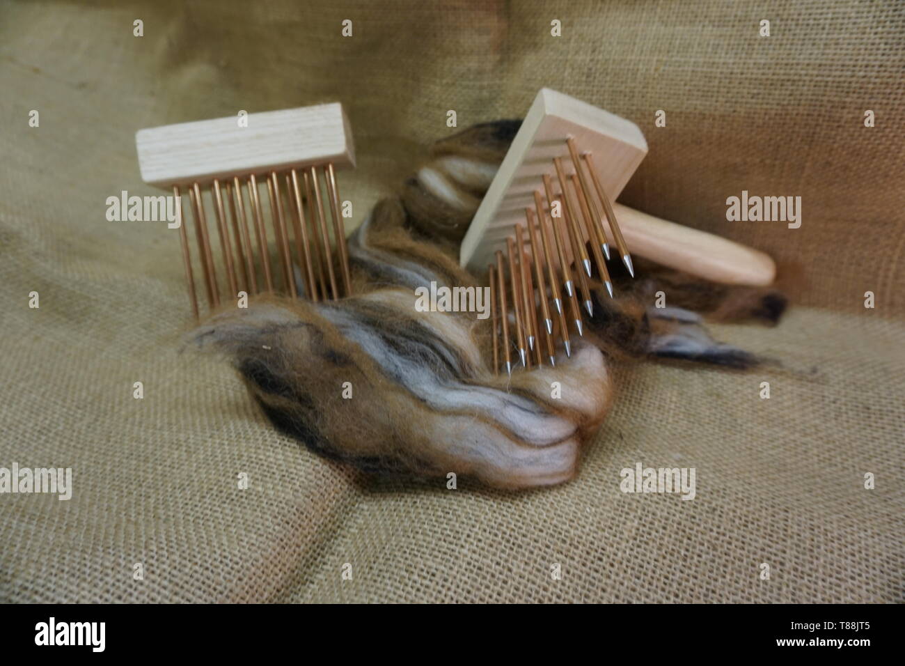 Roman copper comb hi-res stock photography and images - Alamy