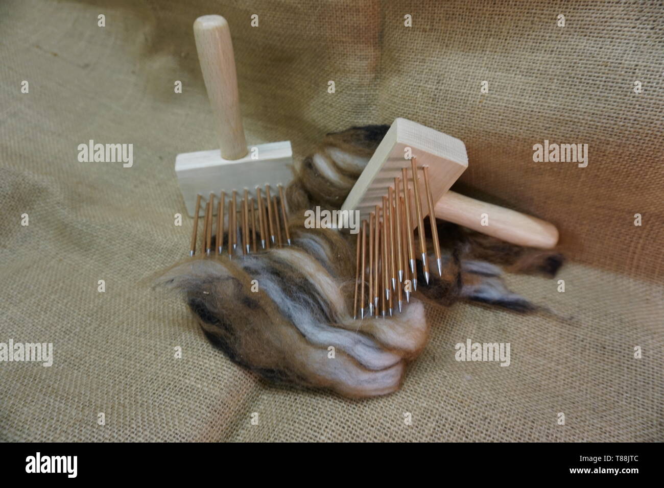 Roman copper comb hi-res stock photography and images - Alamy