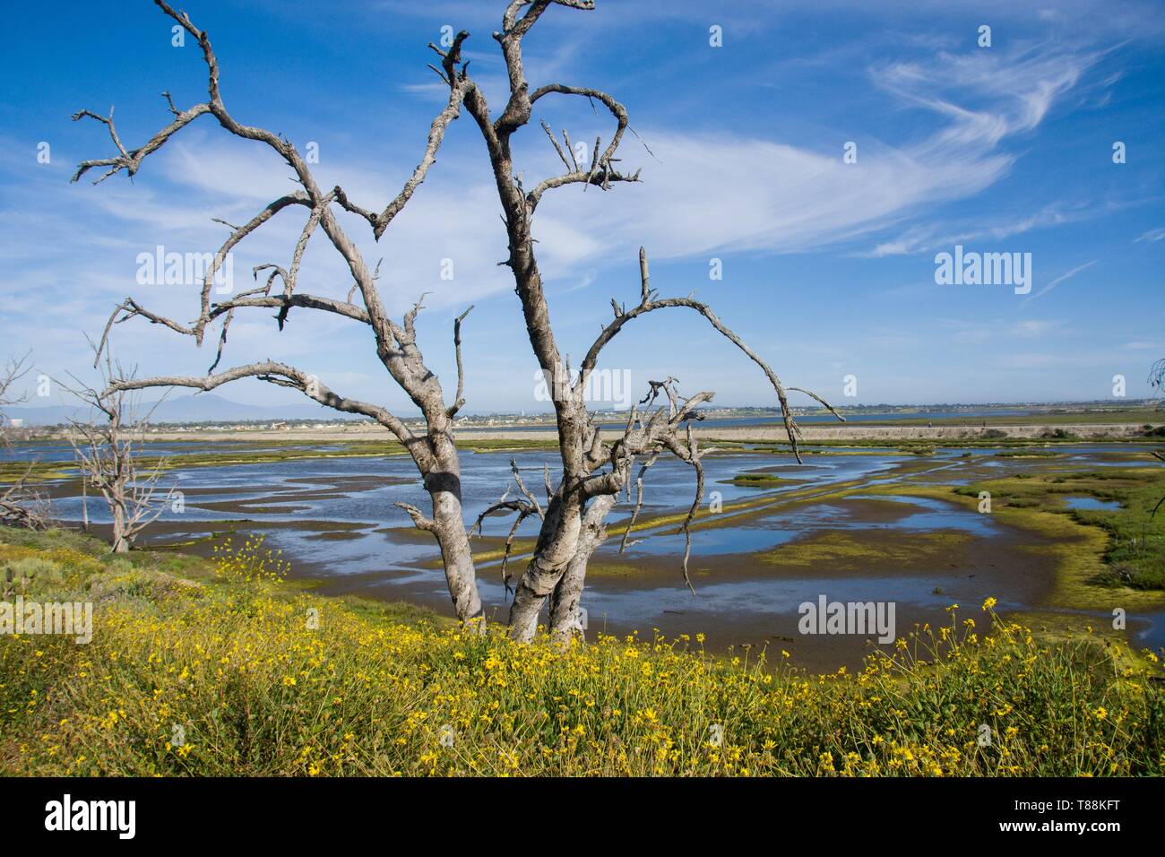 Pocket wetlands hi-res stock photography and images - Alamy