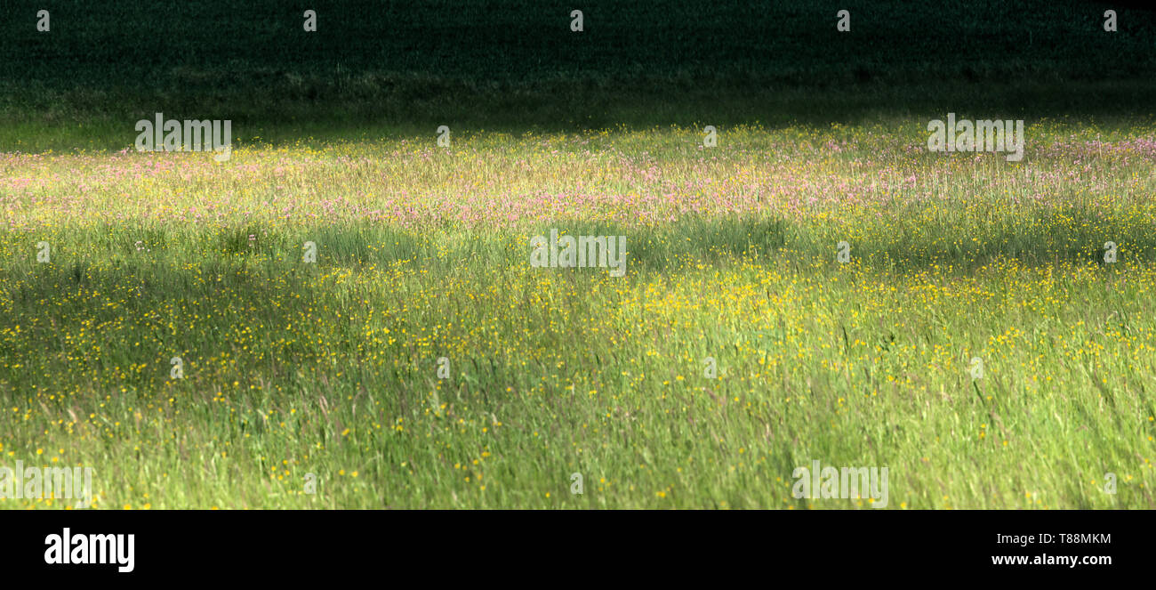 Salem germany hi-res stock photography and images - Alamy