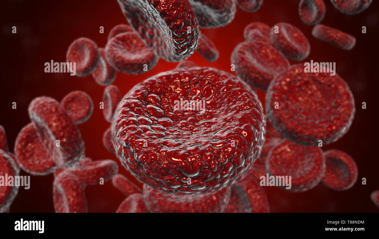 Red blood cell black background hi-res stock photography and images - Alamy