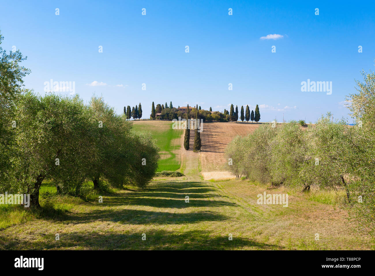 Tuscany hills landscape, Italy. Rural italian panorama Stock Photo - Alamy