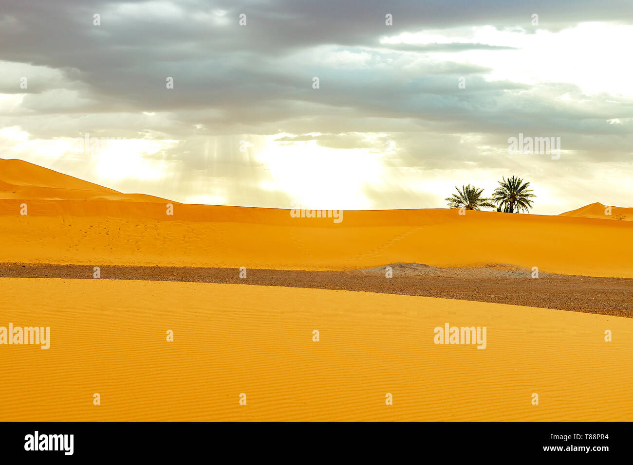 Morocco sand dune hi-res stock photography and images - Alamy