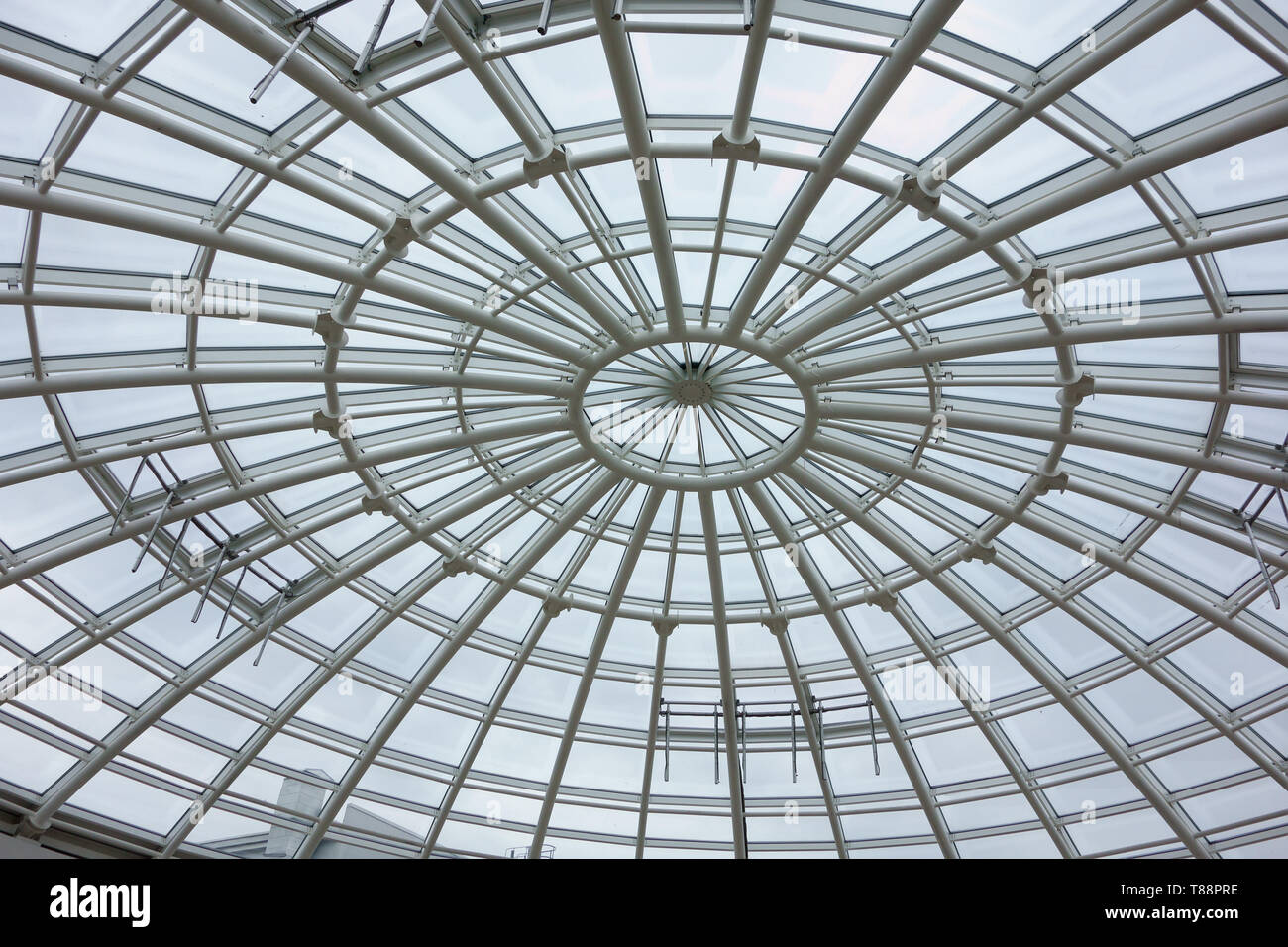 Glass Dome Architecture