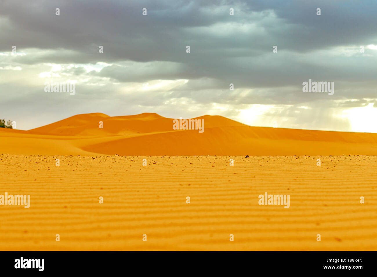 Sahara sunrise hi-res stock photography and images - Alamy