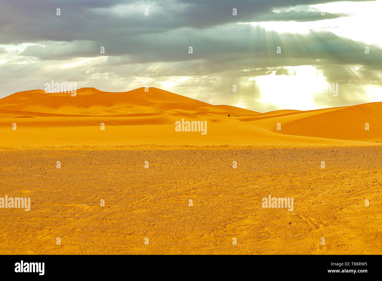 Arabic sand hi-res stock photography and images - Alamy