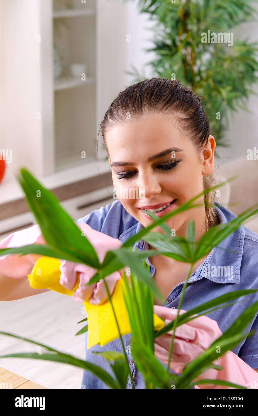 Female florist cleaning plant leaves hi-res stock photography and ...