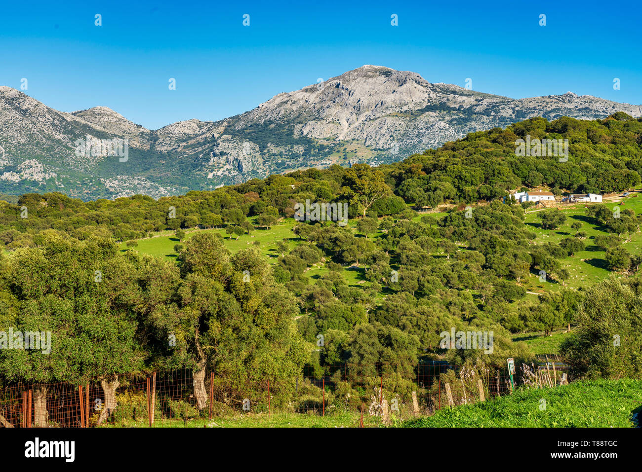 Landscape near Ubrique, Cadiz. This village is part of the pueblos ...