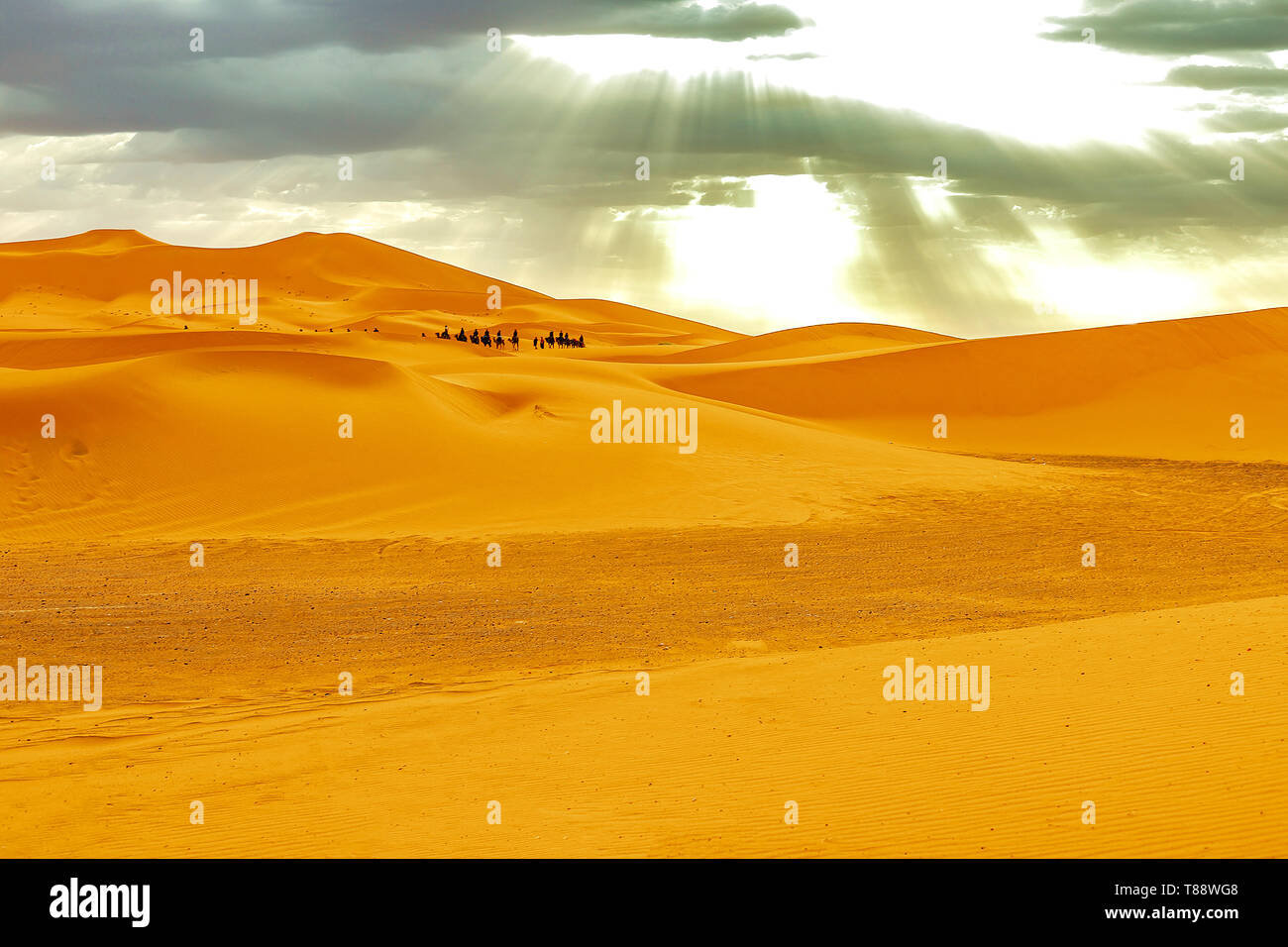 Moroccan caravan hi-res stock photography and images - Alamy