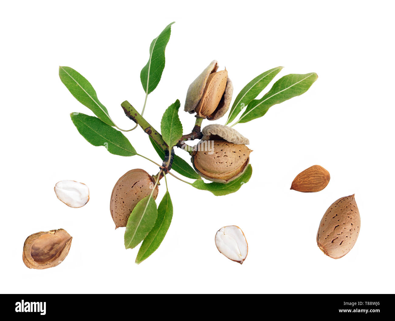Bitter almond hi-res stock photography and images - Alamy