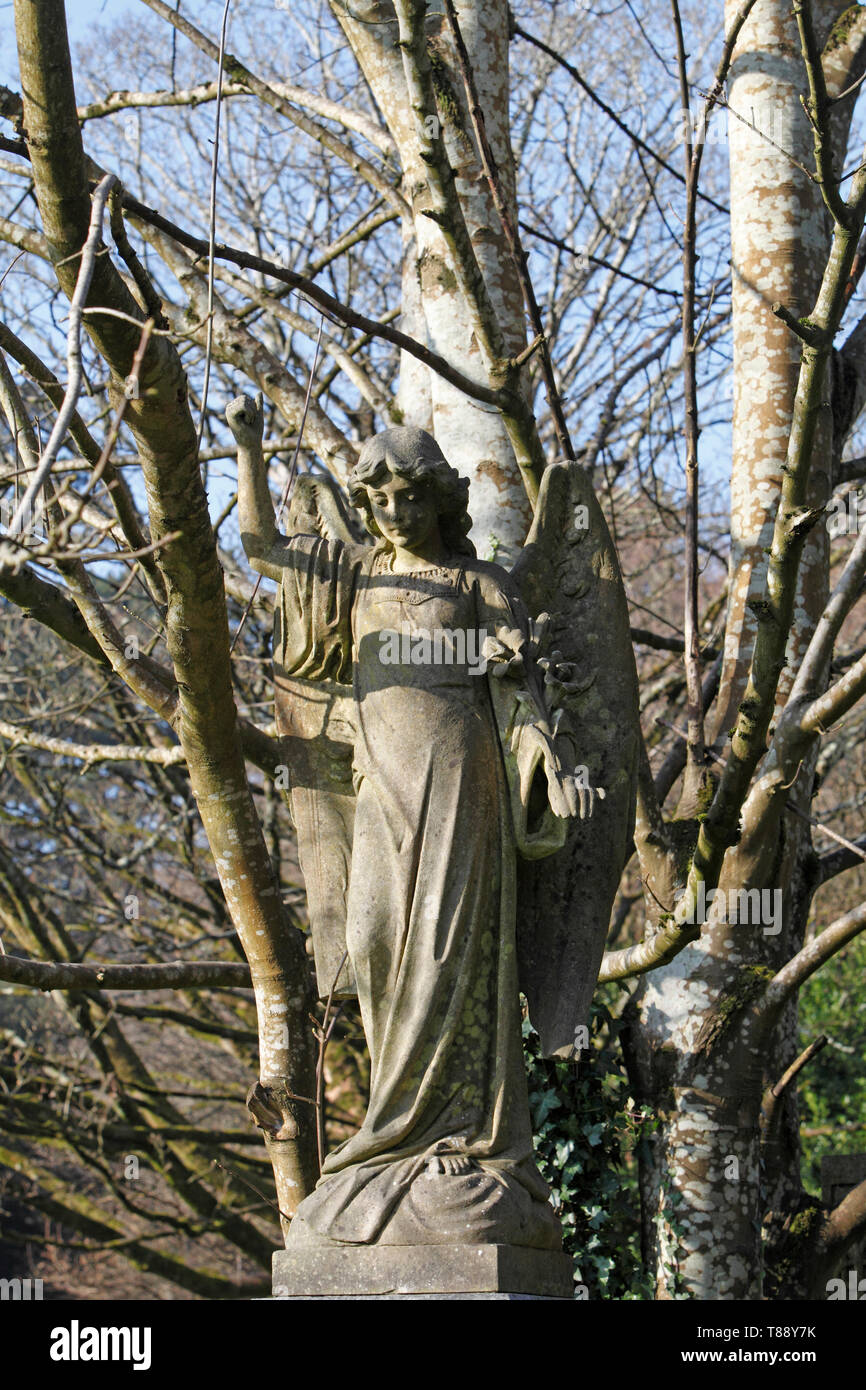 Angel statue hidden amongt overgrowing trees Stock Photo - Alamy