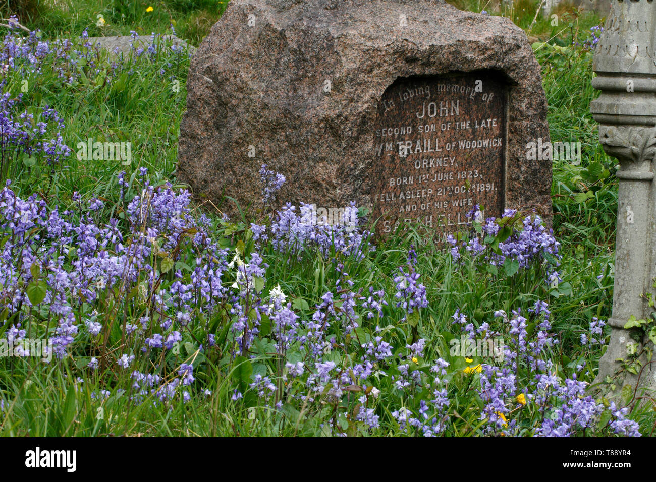gravestones or headstones or tombs in a graveyard, suirounded by ...
