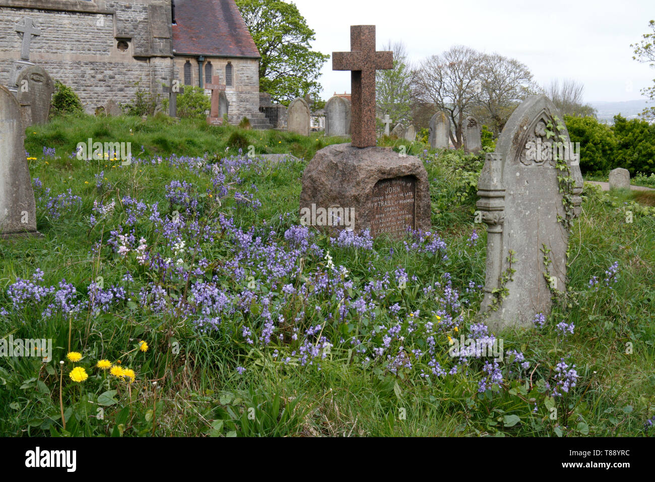 gravestones or headstones or tombs in a graveyard, suirounded by ...