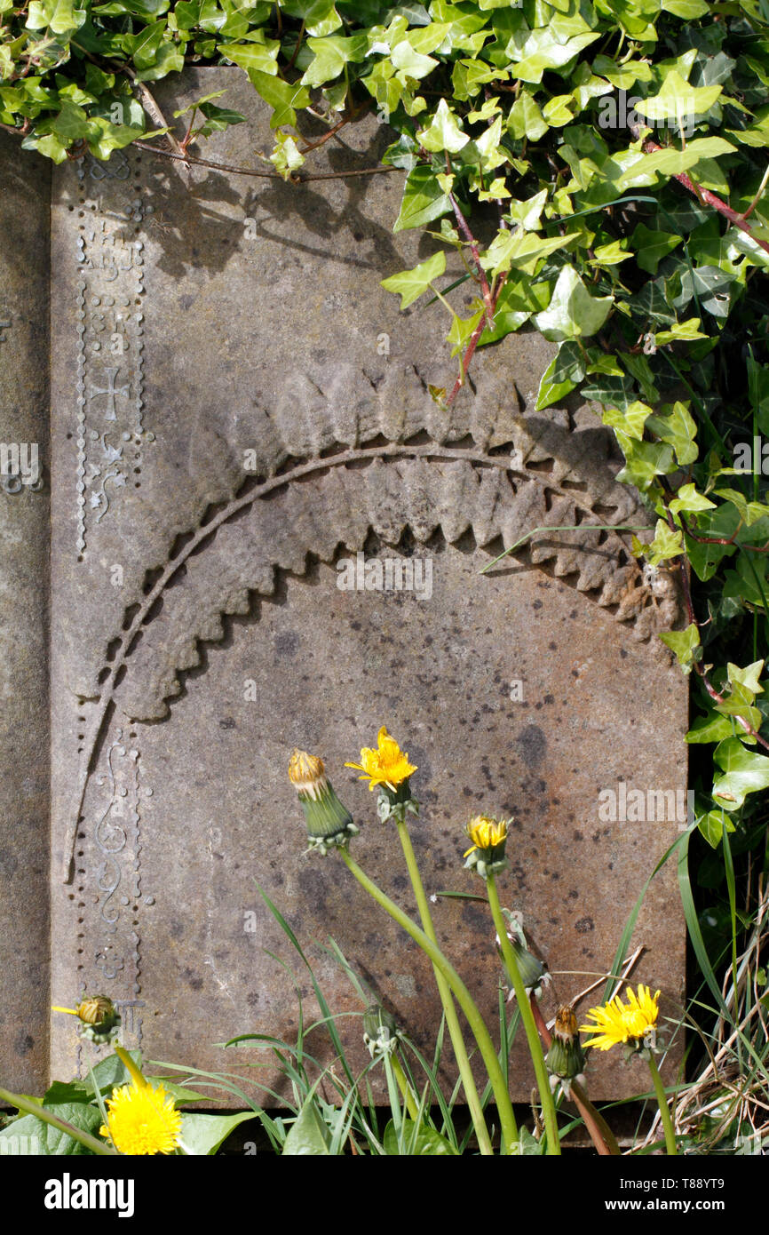 Carved fern tendril or leaf Stock Photo - Alamy