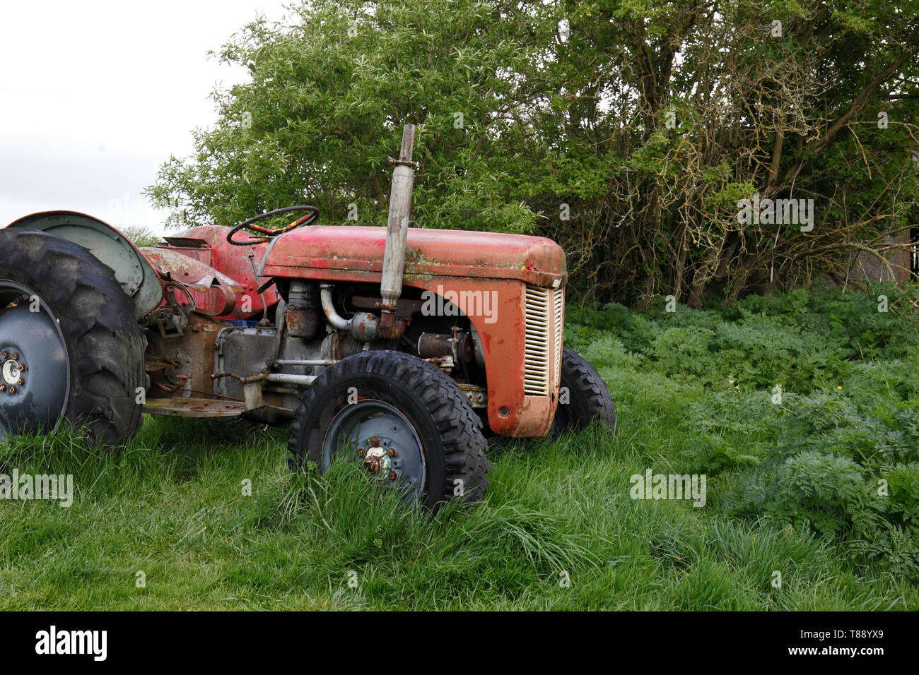Old vintage rusty red Ferguson Tractor Stock Photo - Alamy