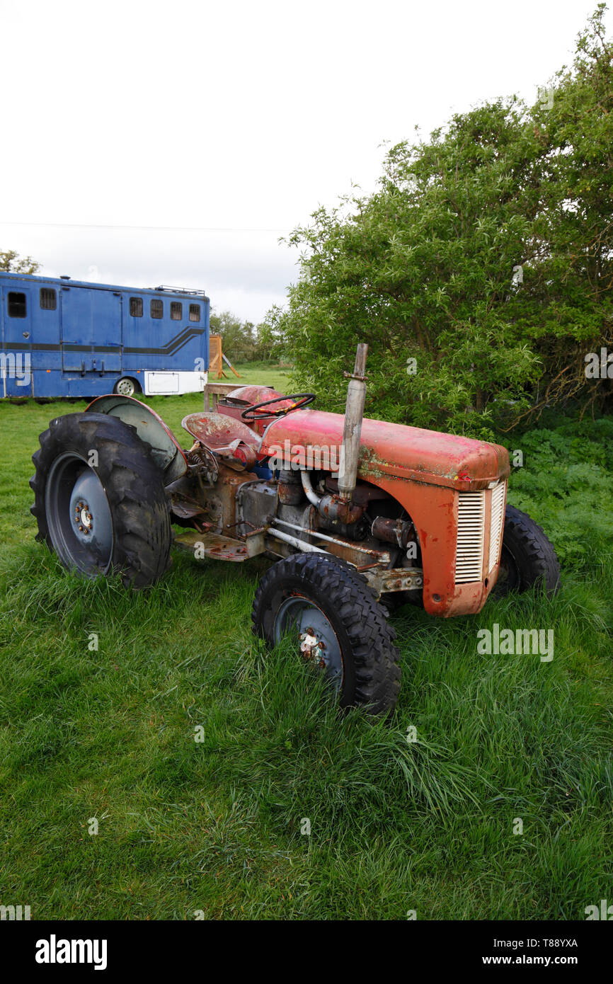 Old vintage rusty red Ferguson Tractor Stock Photo - Alamy
