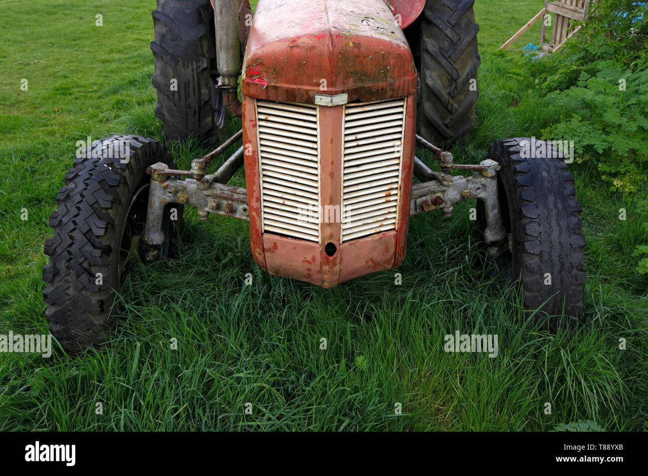 Old vintage rusty red Ferguson Tractor Stock Photo - Alamy
