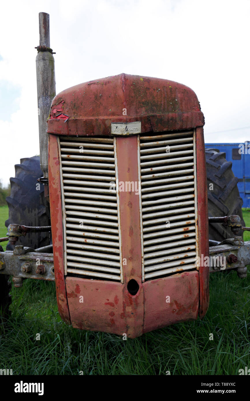 Old vintage rusty red Ferguson Tractor Stock Photo - Alamy