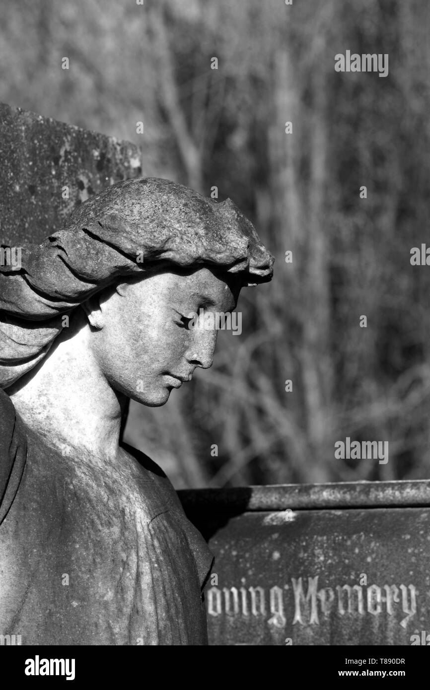 In loving memory hi-res stock photography and images - Alamy