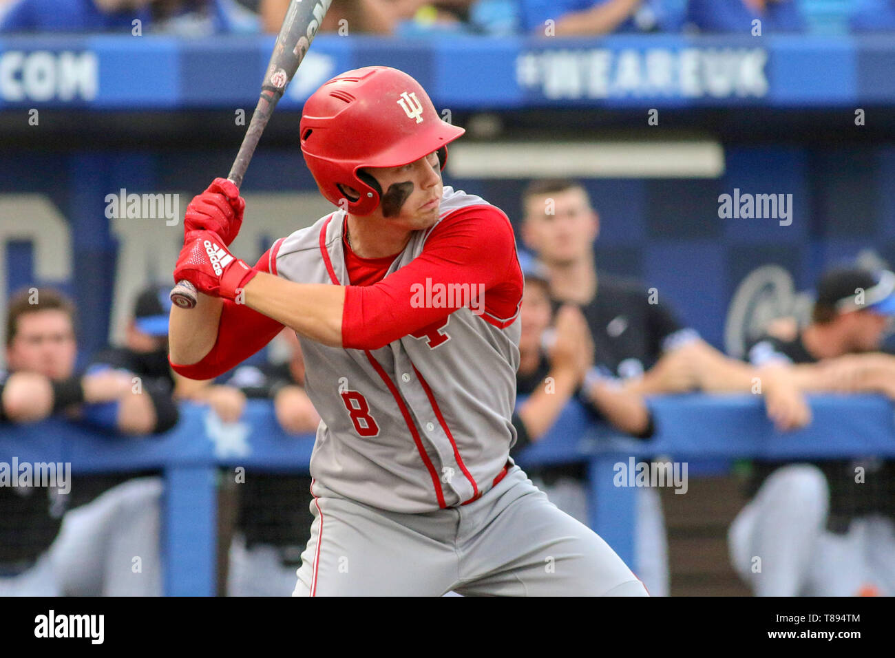 Ashley schultz hi-res stock photography and images - Alamy