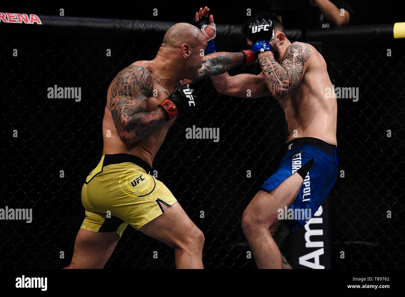 UFC 237: NAMAJUNAS vs. ANDRADE - Fighters Thiago Alves (red glove) and ...