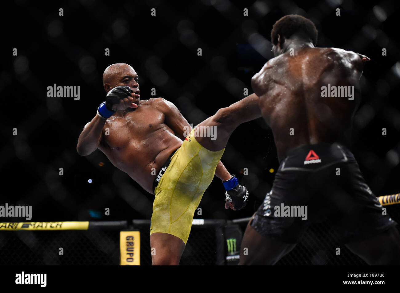 UFC 237: NAMAJUNAS vs. ANDRADE - Fighters Jared Cannonier (red glove ...