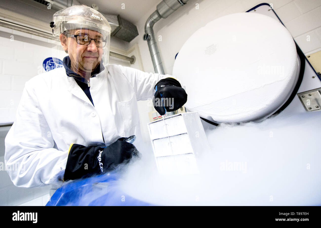 Brunswick, Germany. 30th Apr, 2019. Wilhelm Dirks, biologist in ...
