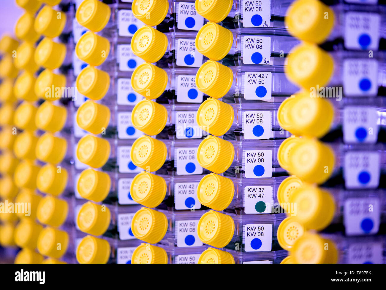 Christian von brunswick hi-res stock photography and images - Alamy