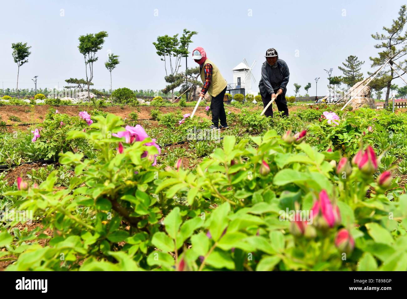 Fragile environment hi-res stock photography and images - Alamy