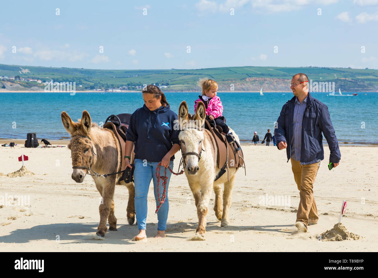 Donkey Rides On A Beach High Resolution Stock Photography and Images ...