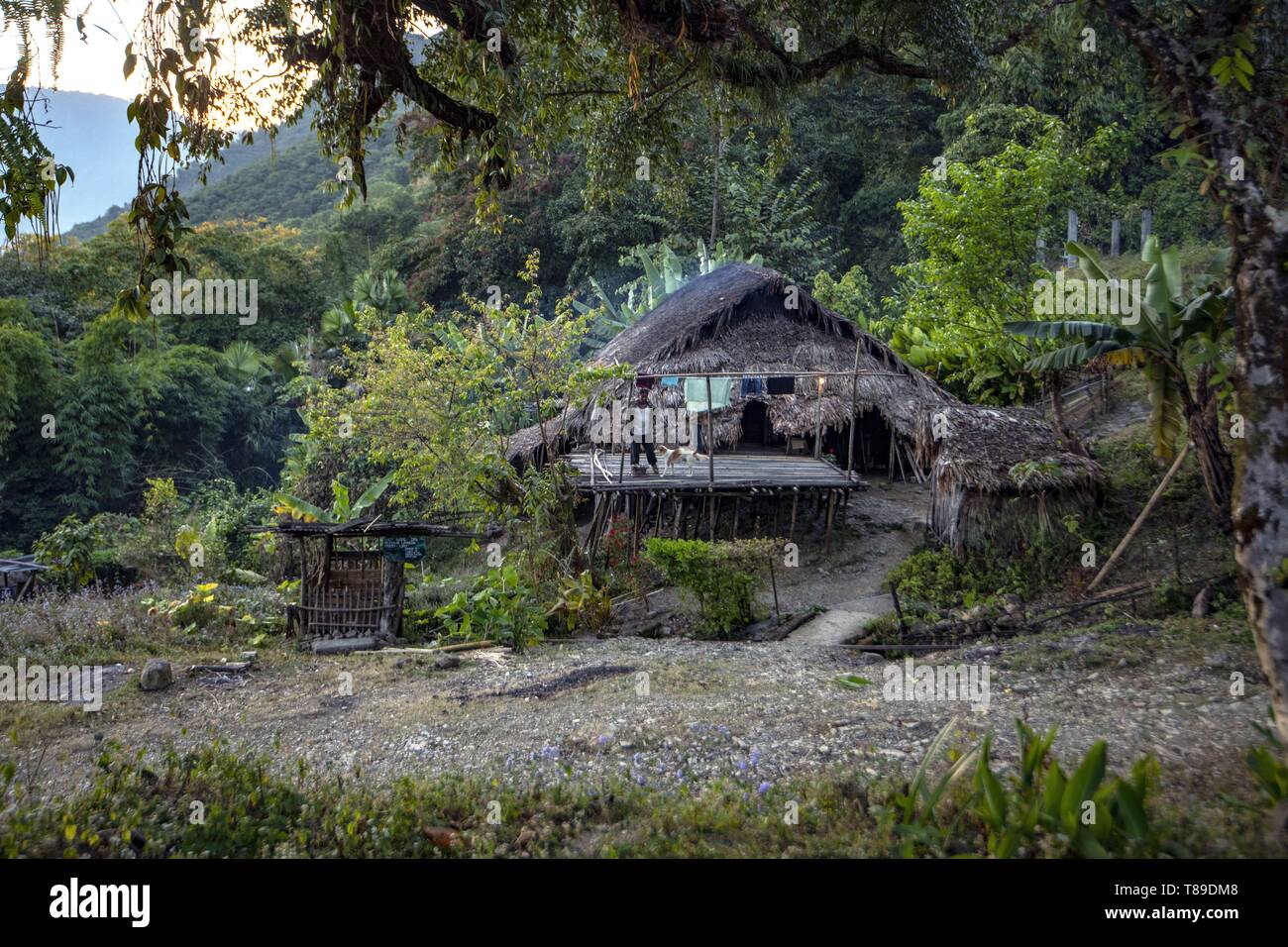 India, Arunachal Pradesh, Khetti Stock Photo - Alamy