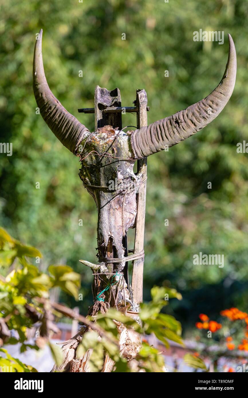 Animist Religion Symbol