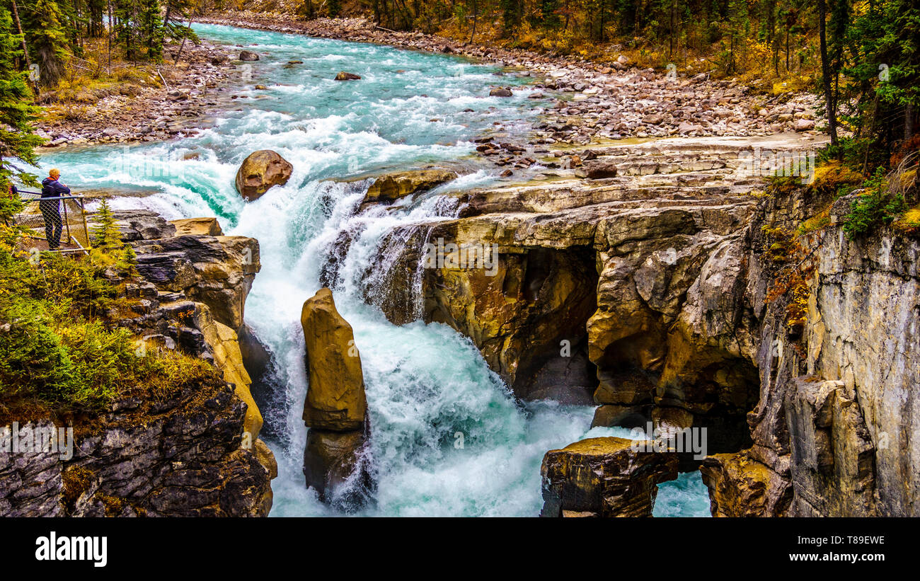 The famous wild waters of the Sunwapta Waterfalls in Jasper National ...